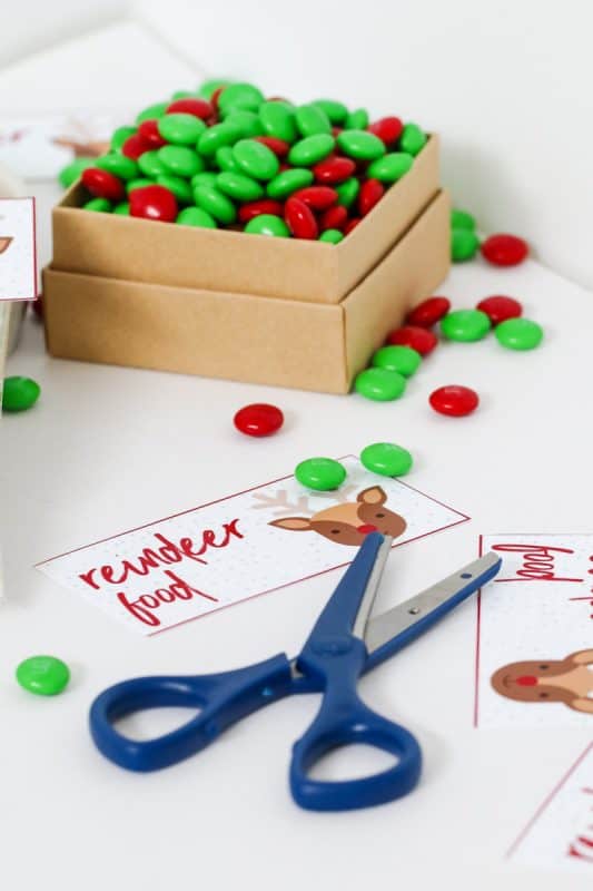Reindeer Food - Free Christmas Printable Gift Bag - Bake Play Smile