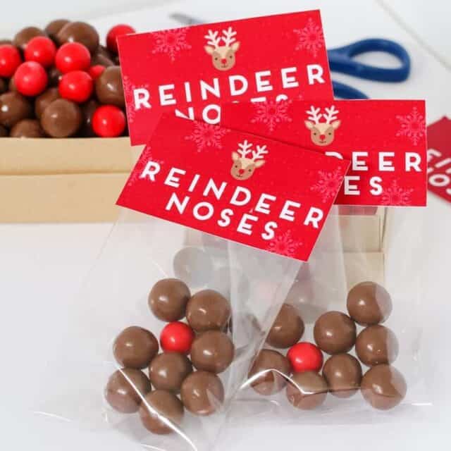 Reindeer Noses - Free Christmas Printable Gift Bag - Bake Play Smile