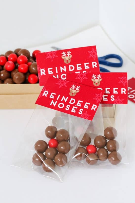 Reindeer Noses - Free Christmas Printable Gift Bag - Bake Play Smile