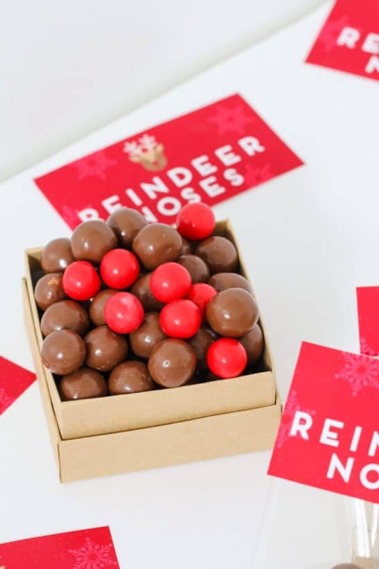 Reindeer Noses - Free Christmas Printable Gift Bag - Bake Play Smile