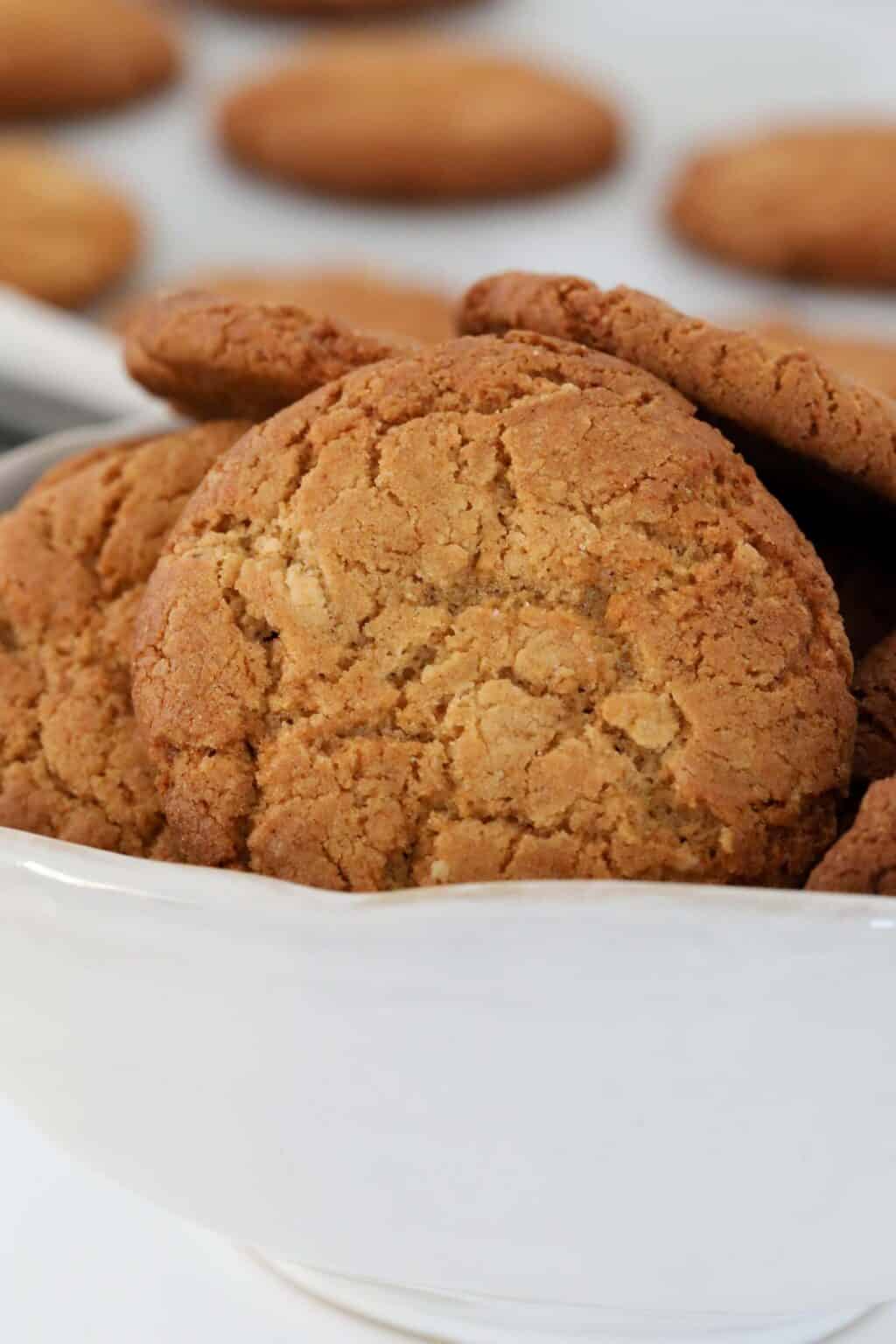 Ginger Nuts - Bake Play Smile